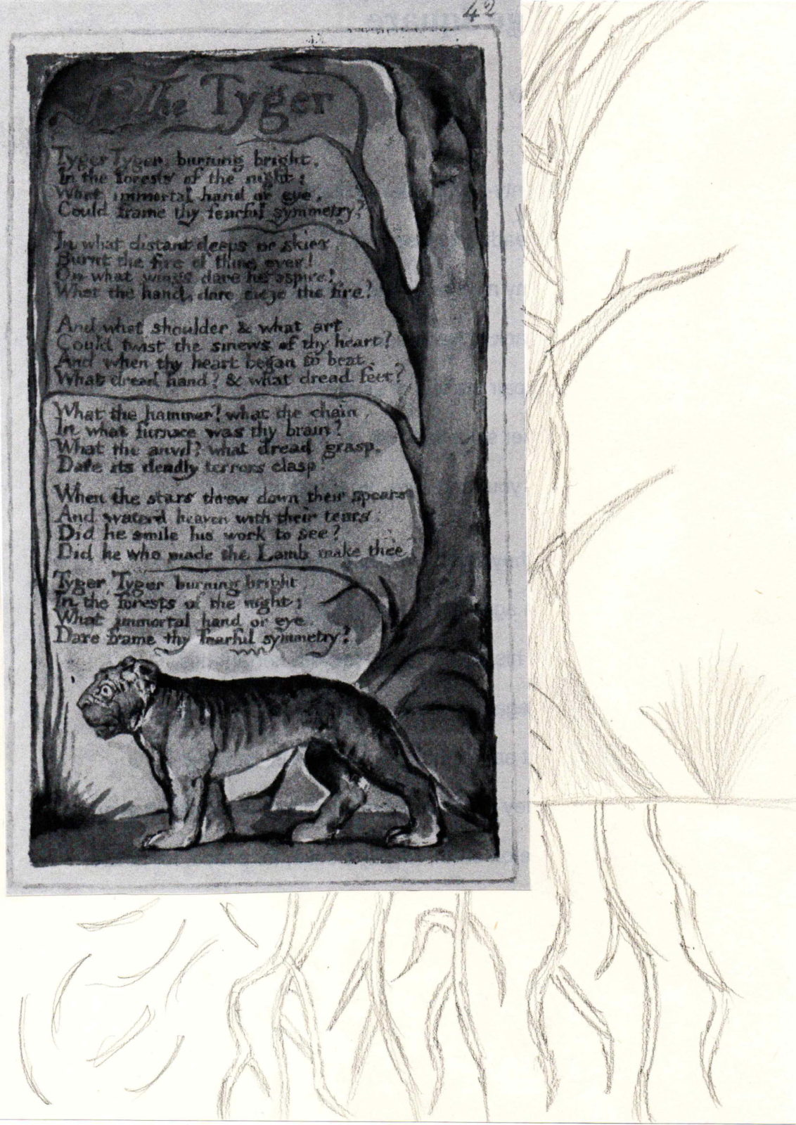 The Tyger - The Litmus