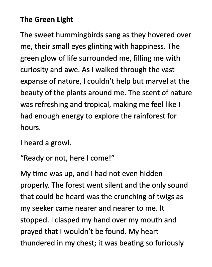 The Green Light by Aarnav Bajaj, aged 14, year 9, Bourne Grammar School ...